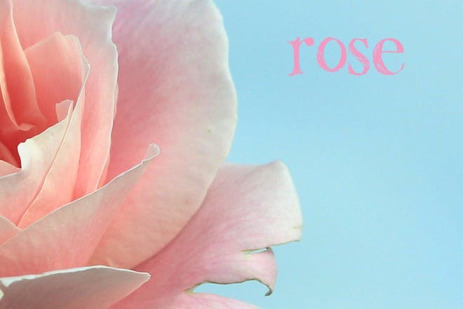 Flower baby names - Netmums