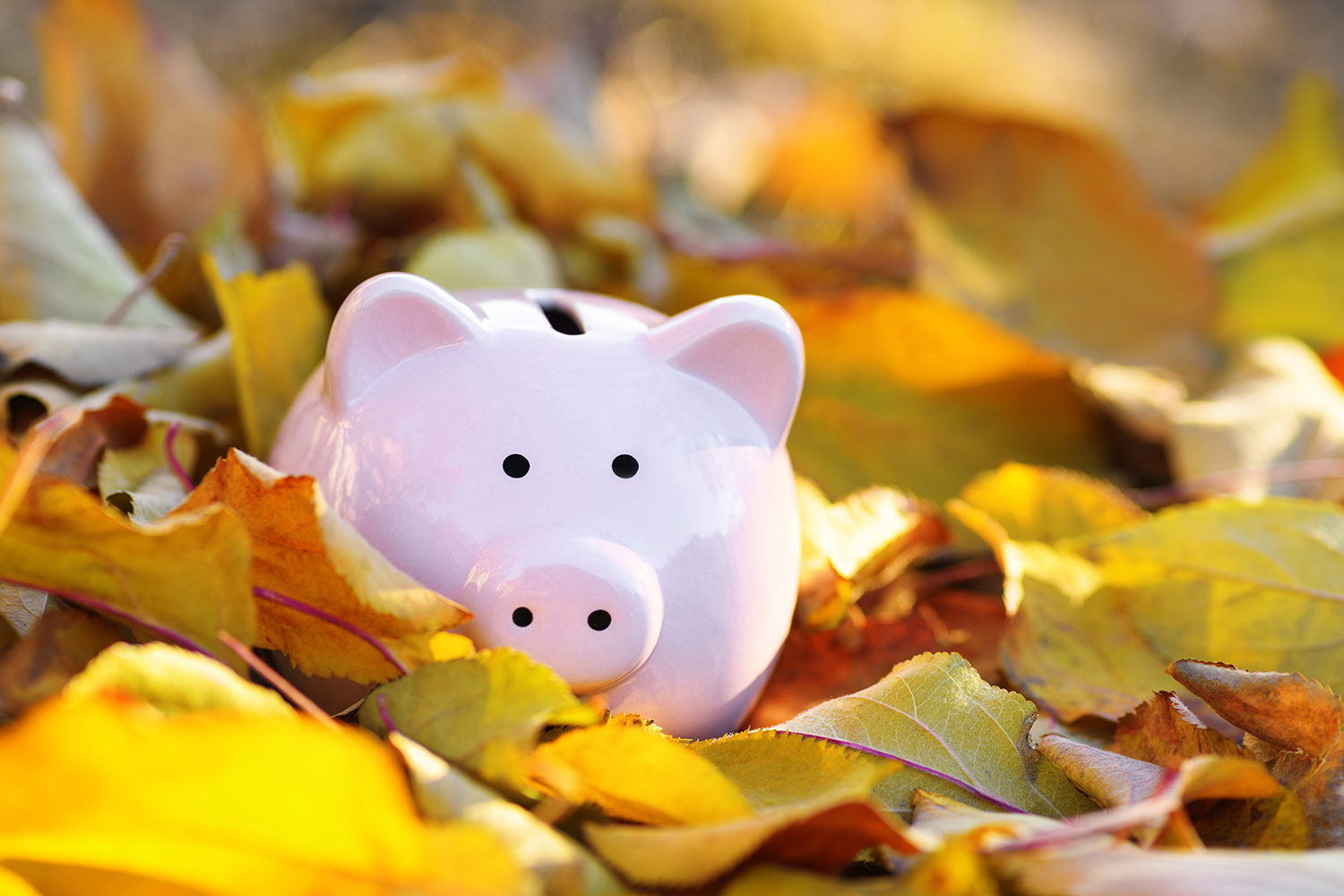 Netmums: The UK's Most Inclusive Parenting Community - Netmums