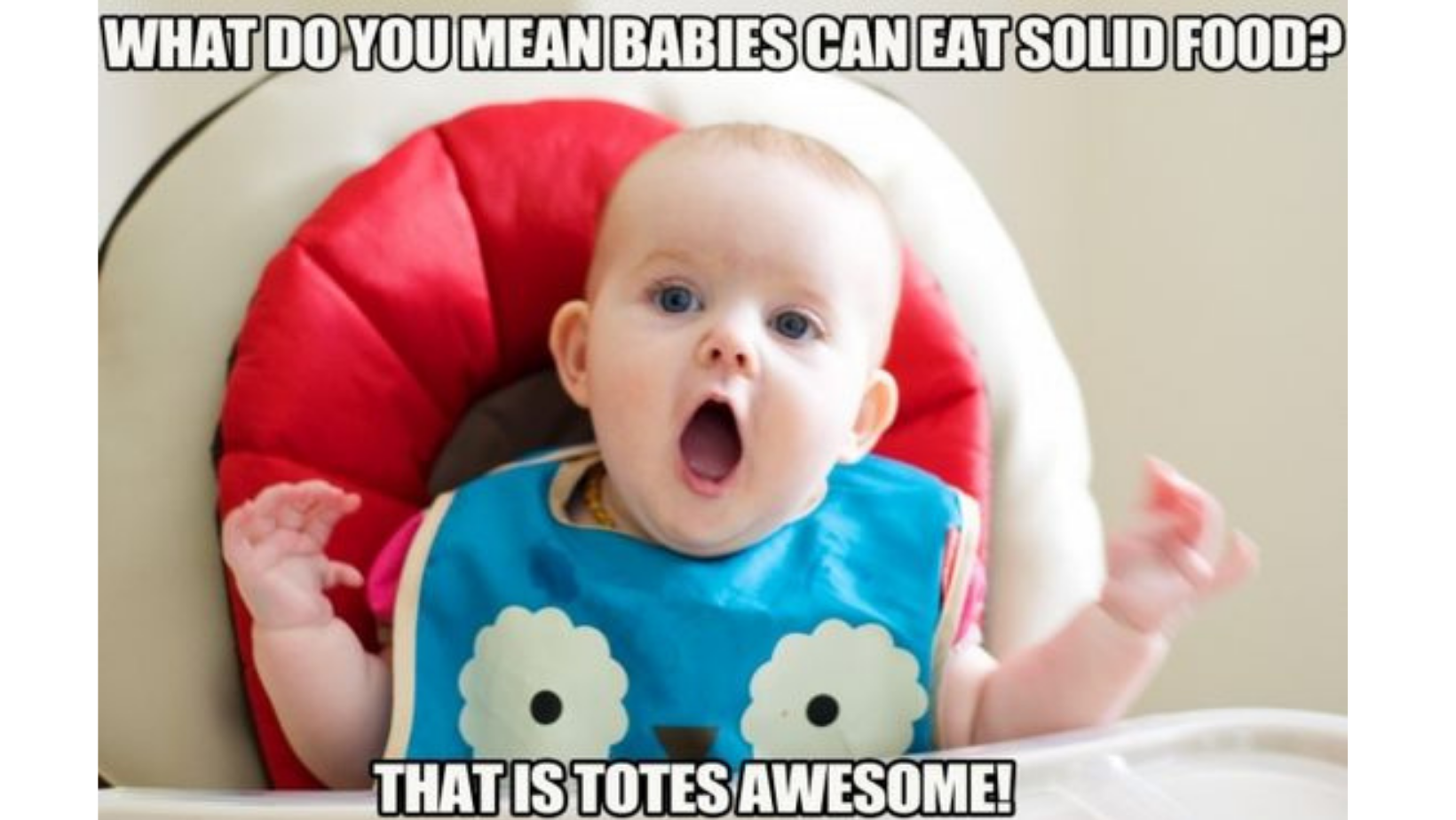 15 Funny Memes Only Weaning Parents Will Understand - Netmums