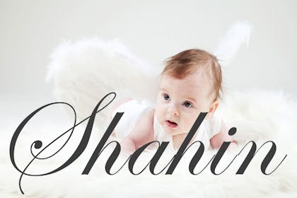 Beautiful Bird-Inspired Names - Netmums