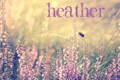 Flower baby names - Netmums