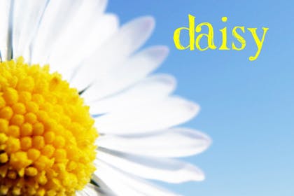 Flower baby names - Netmums