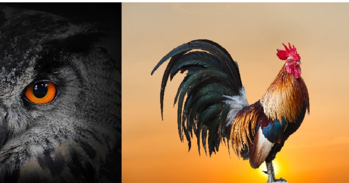 How to cope with a late settler or an early riser - Netmums