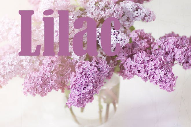 29 Colourful Rainbow-Inspired Baby Names - Netmums