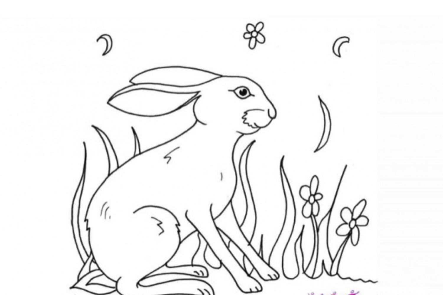 Spring pictures to print and colour - Netmums