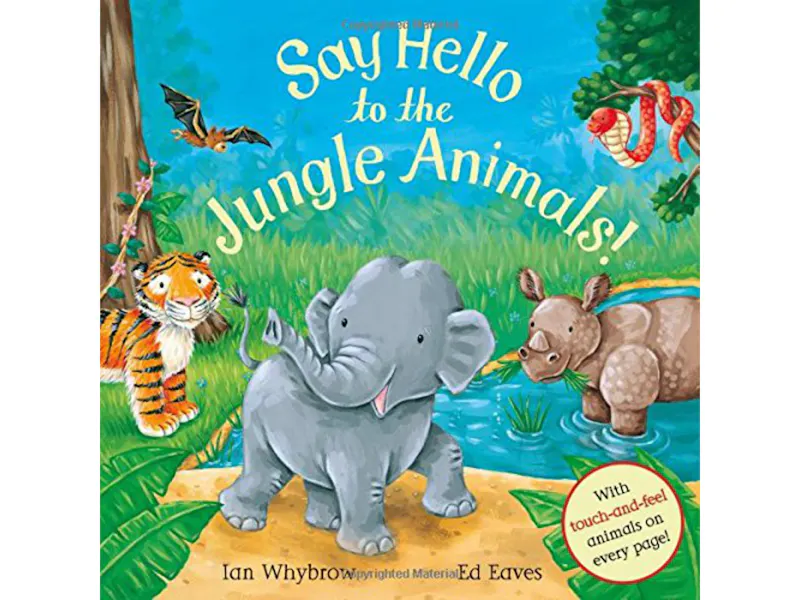 11 brilliant children's books about jungles - Netmums Reviews