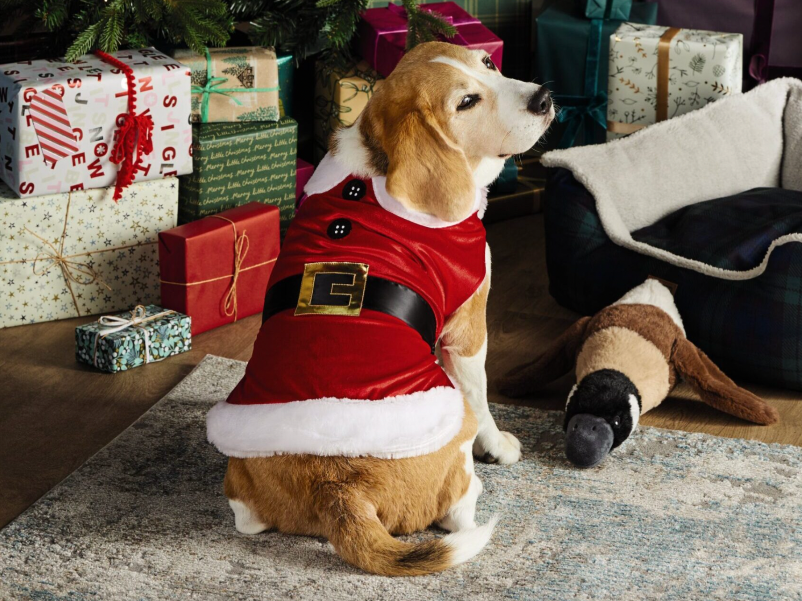 Aldi releases sneak peek of Christmas range including £4.99 Urban Decay ...