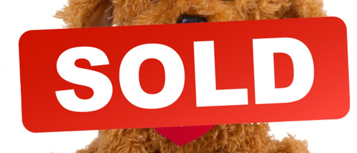 The Waffle Toy That’s Already Sold Out At Smyths Toys - Netmums Reviews