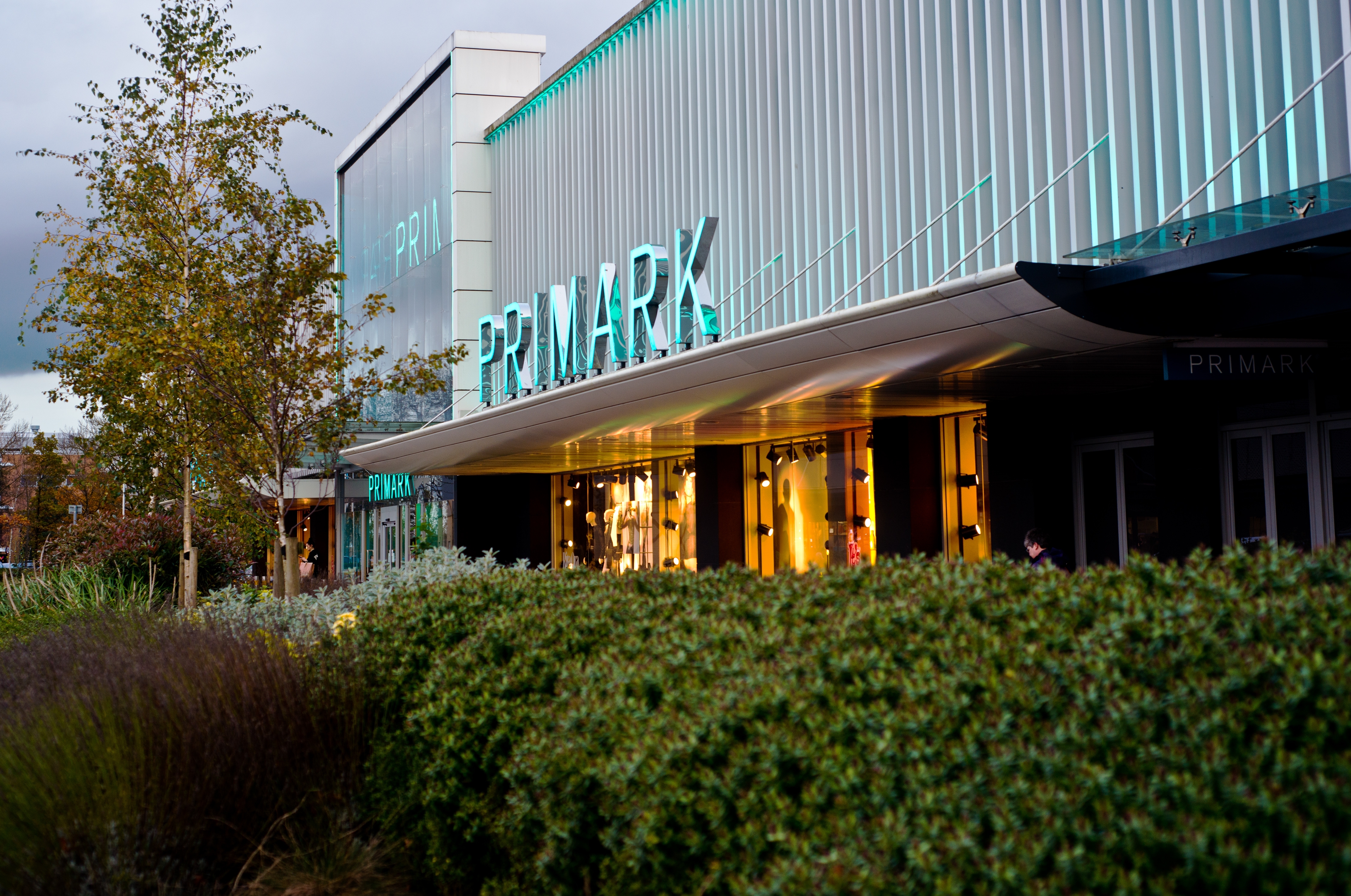 Shoppers say Primark's new home collection feels like they've 'jumped ...