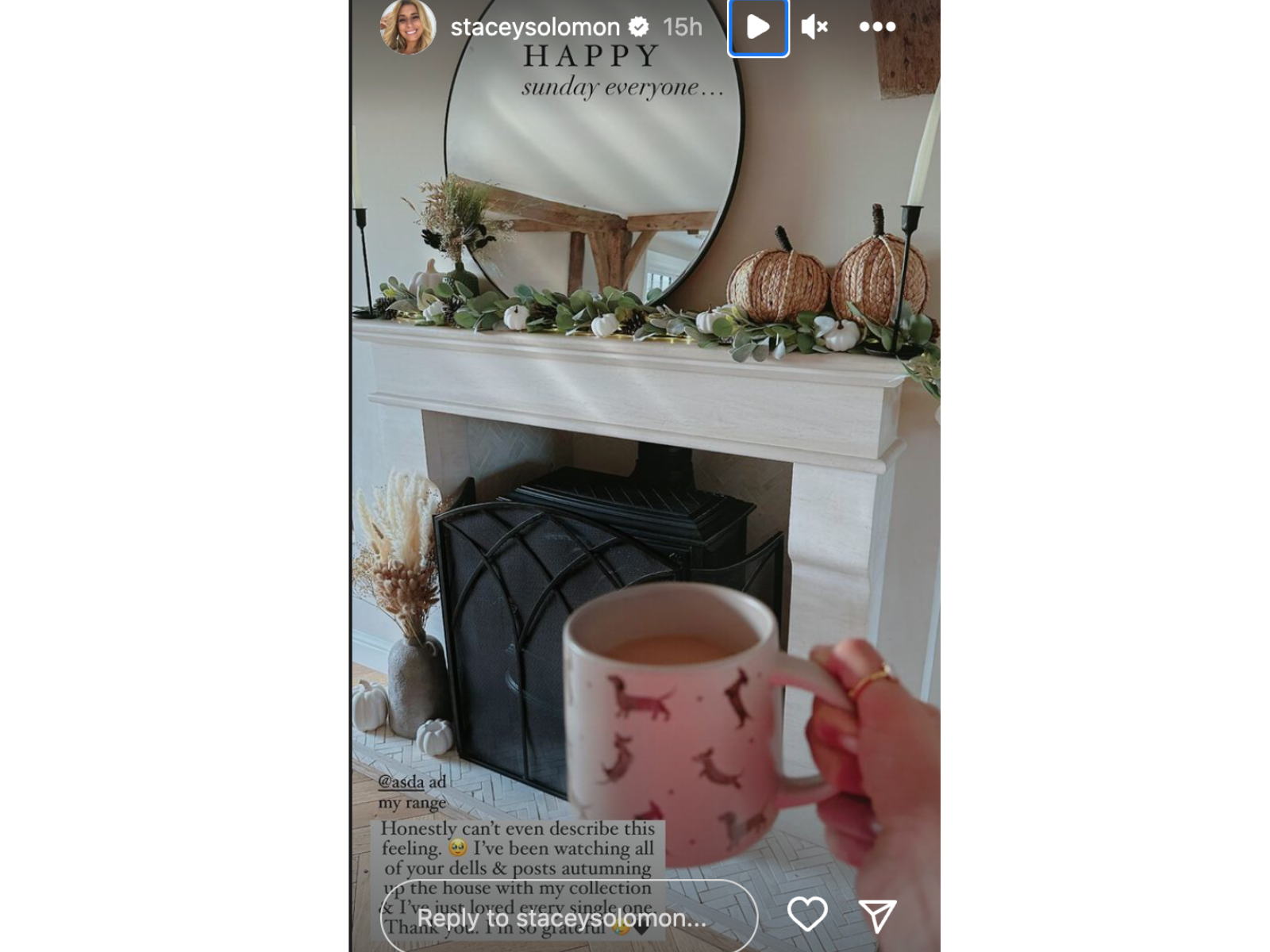 Gorgeous autumn wreaths including £13 'absolute bargain' from Temu ...