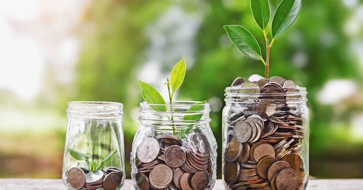 Bringing Financial Wellness to Your Workplace Bringing Financial Wellness to Your Workplace