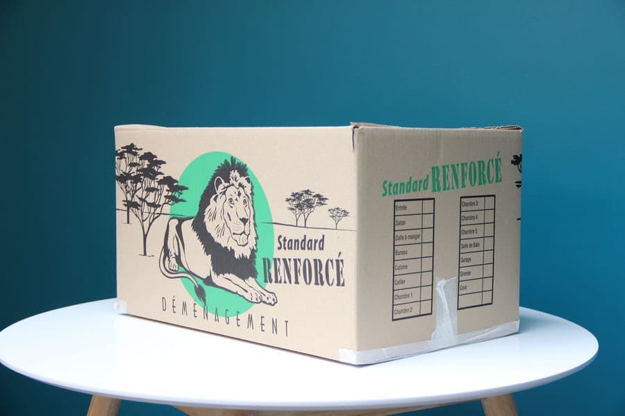 Cartons de Déménagement : Types, Tailles et Prix
