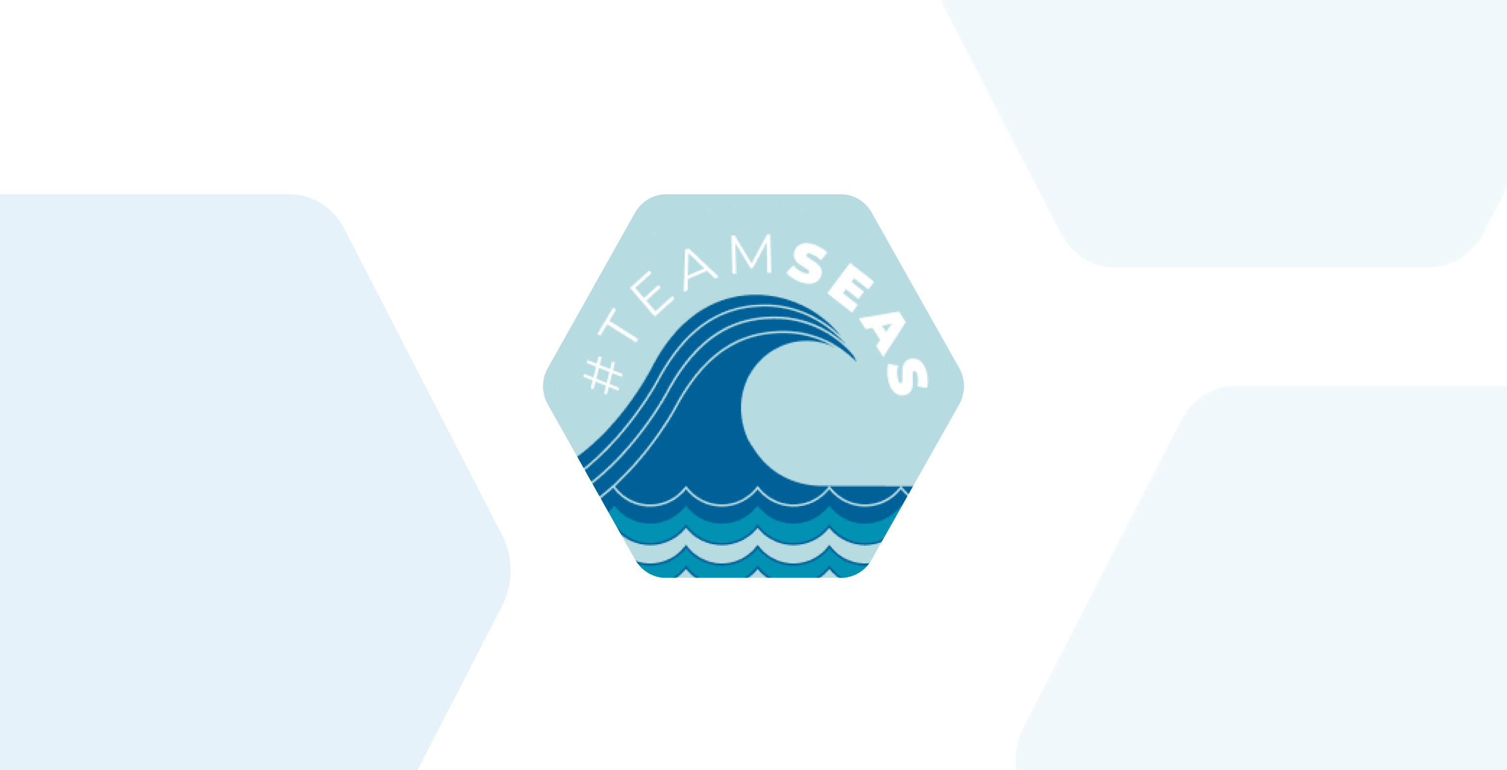 #TeamSeas