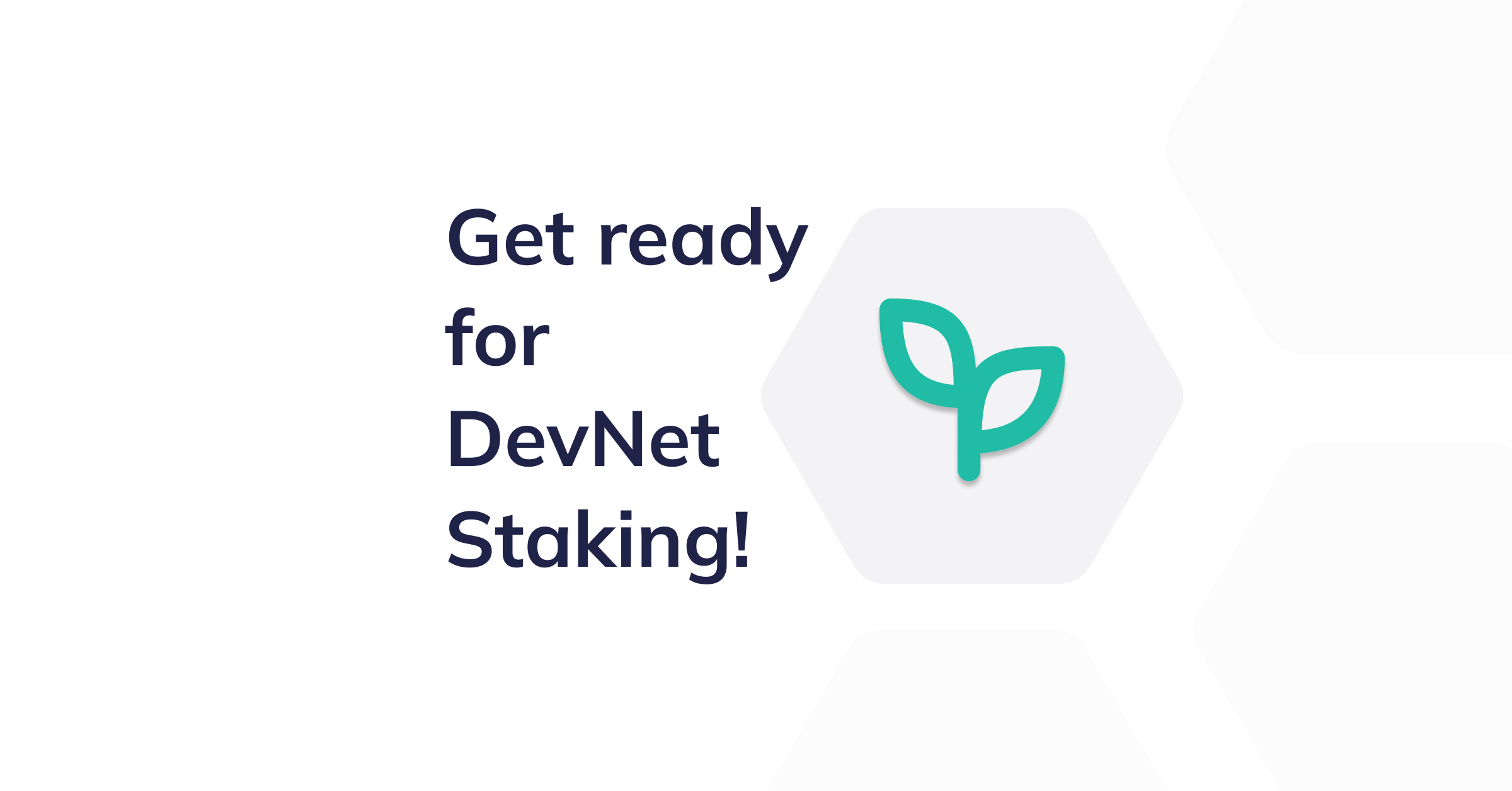 Early Access to DevNet staking in the Nimiq Wallet