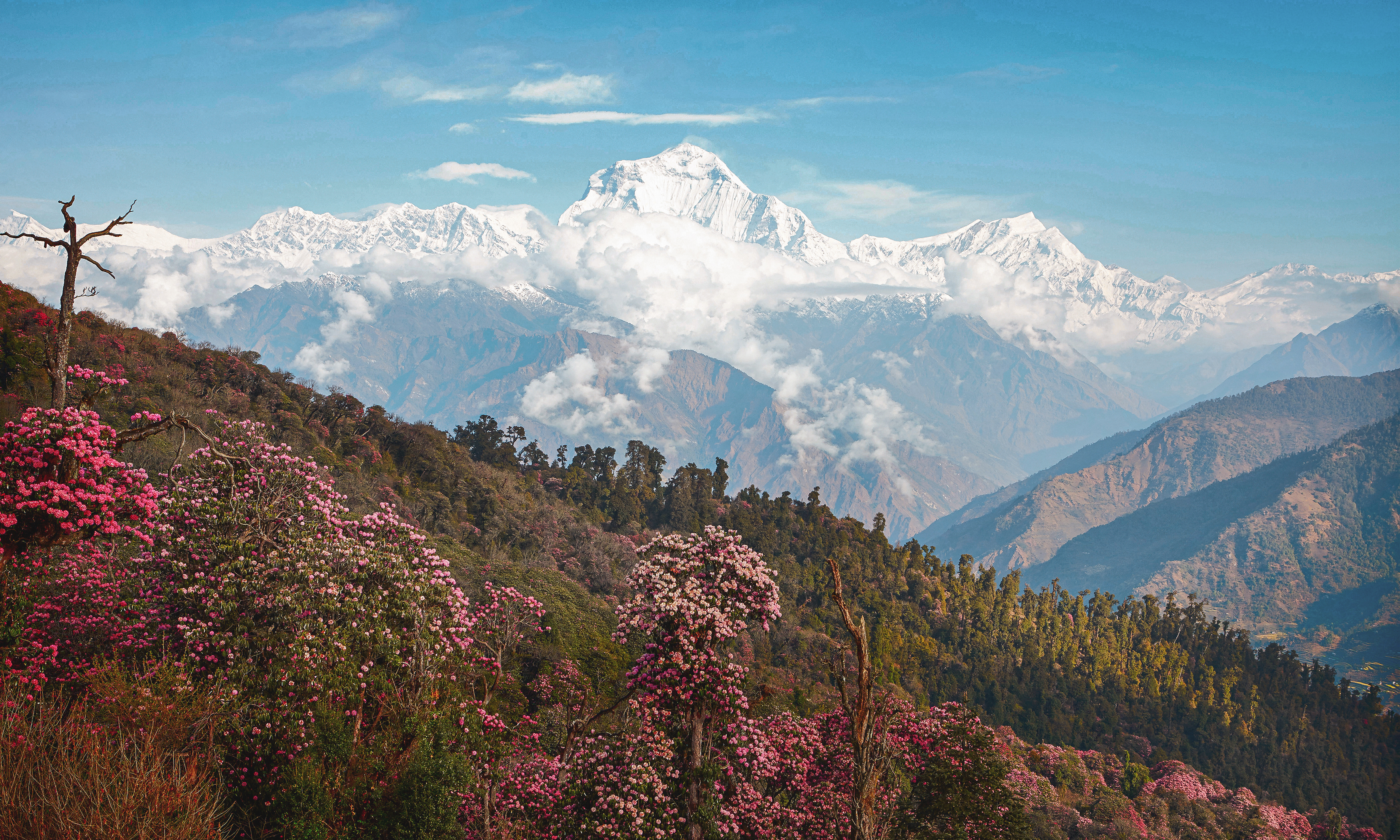 Nimsdai Foundation - For the mountains,