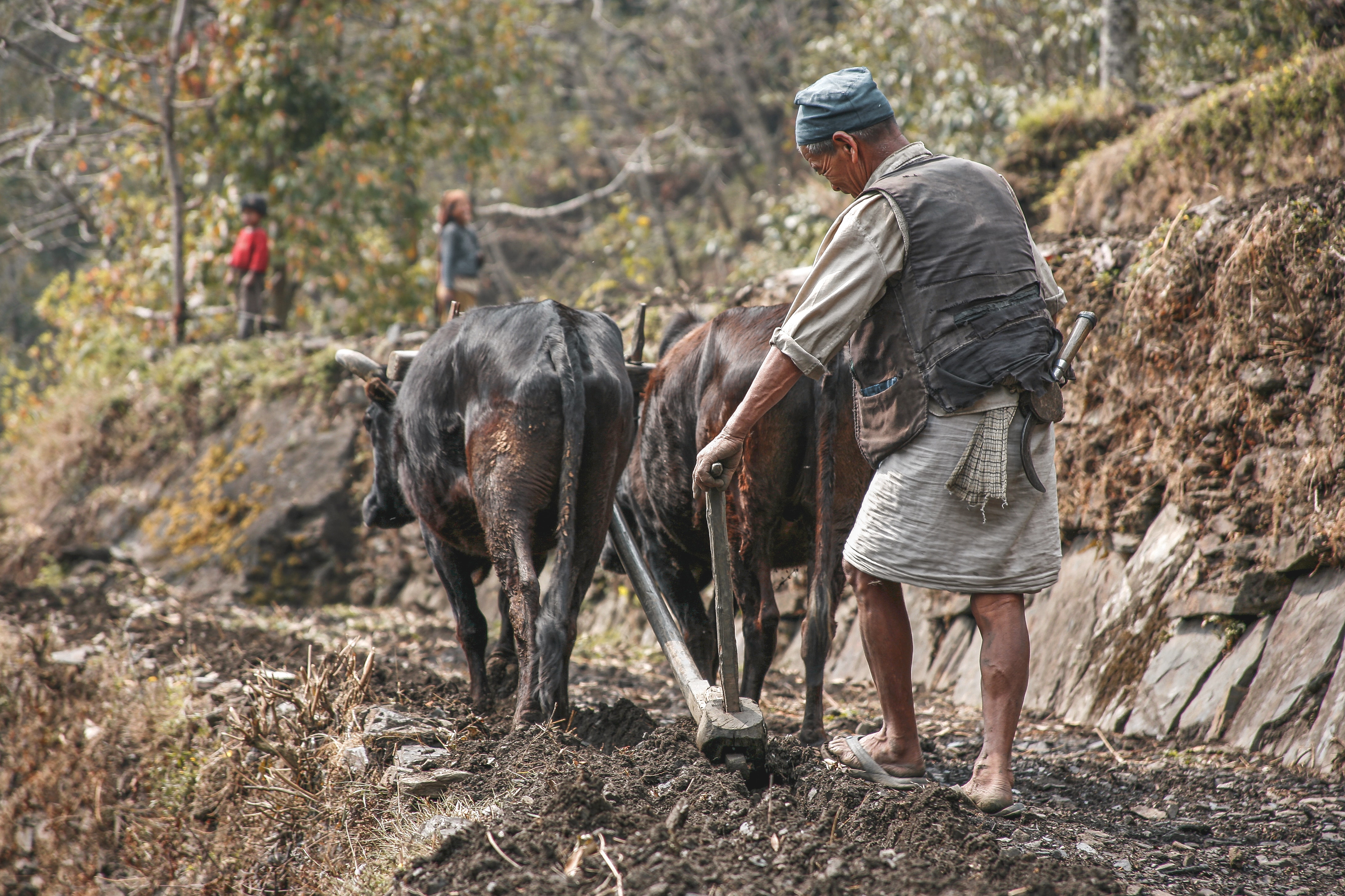 Nimsdai Foundation - Sustainable farming