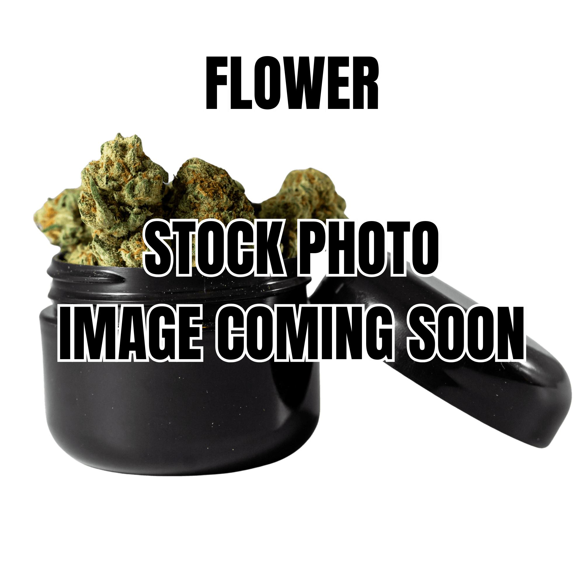 REVOLUTION - POPCORN | TOE JAM | 7G