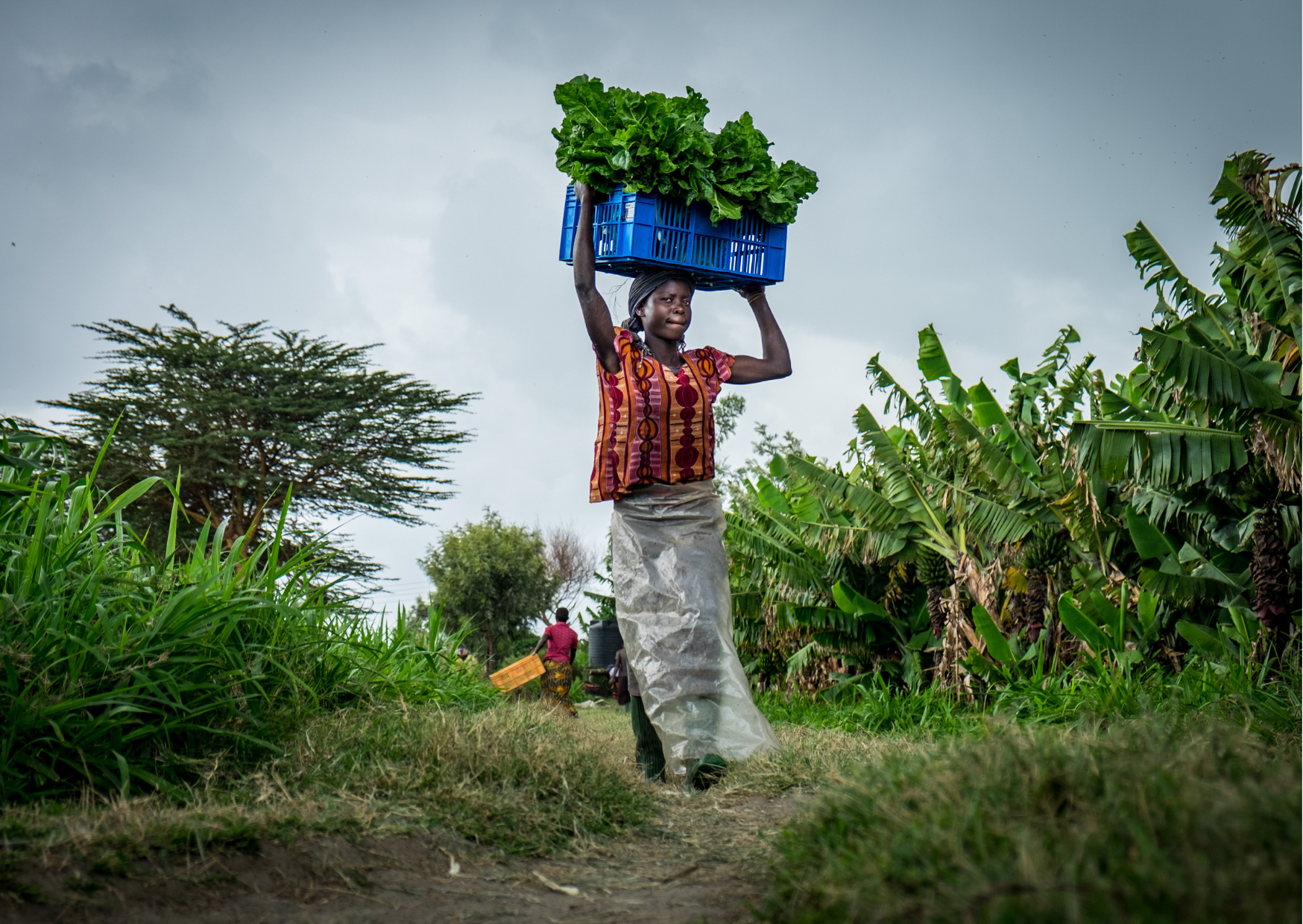 Boosting rural Kenyan women's productivity with tech | Abler Nordic