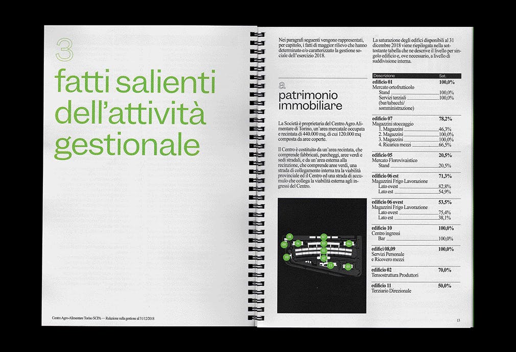 CAAT: Annual Report | Graphic Design | Norma