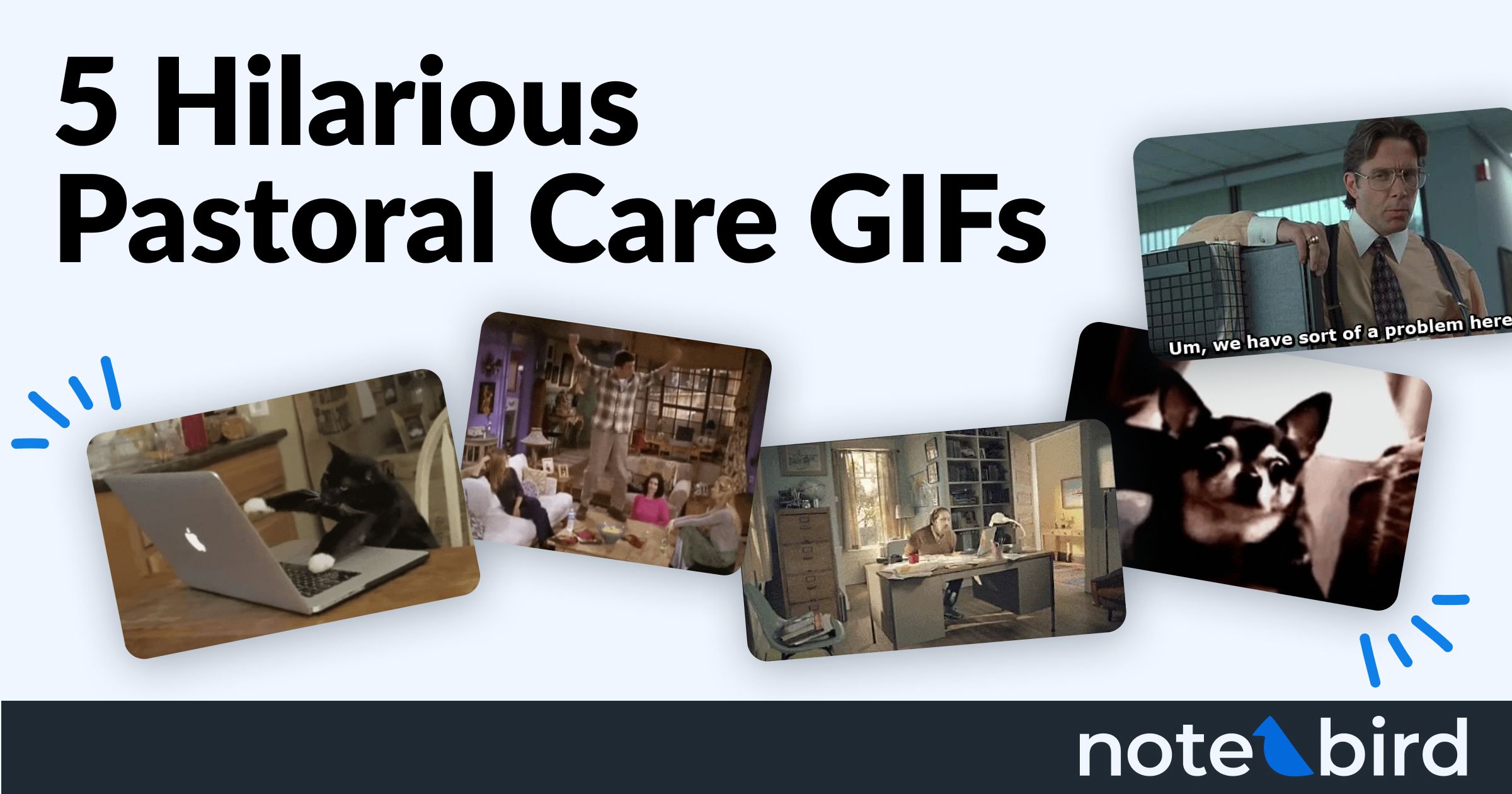5 Hilarious Pastoral Care GIFs 😂 | Notebird Blog