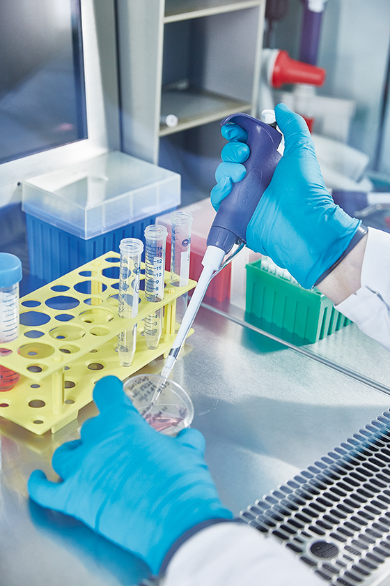 Experience and intuition - Novartis Live. Magazine