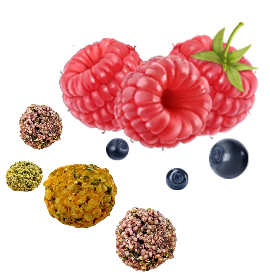 NUI Snacks - Plant-Based Protein Snacks with 7g Protein, 9g Omega Fatty ...