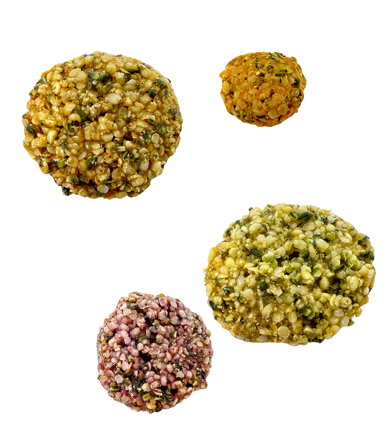Contact NUI Snacks - Support for Plant-Based Protein Snacks Inquiries