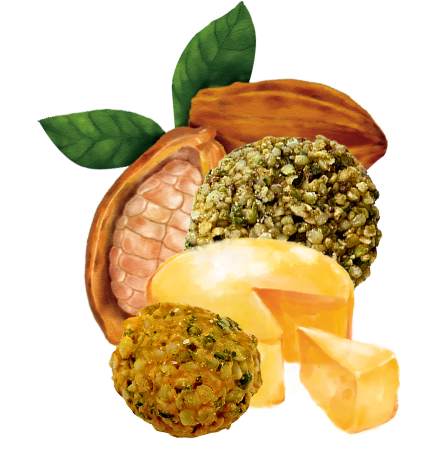 NUI Snacks - Plant-Based Protein Snacks with 7g Protein, 9g Omega Fatty ...