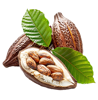 NUI Snacks - Plant-Based Protein Snacks with 7g Protein, 9g Omega Fatty ...