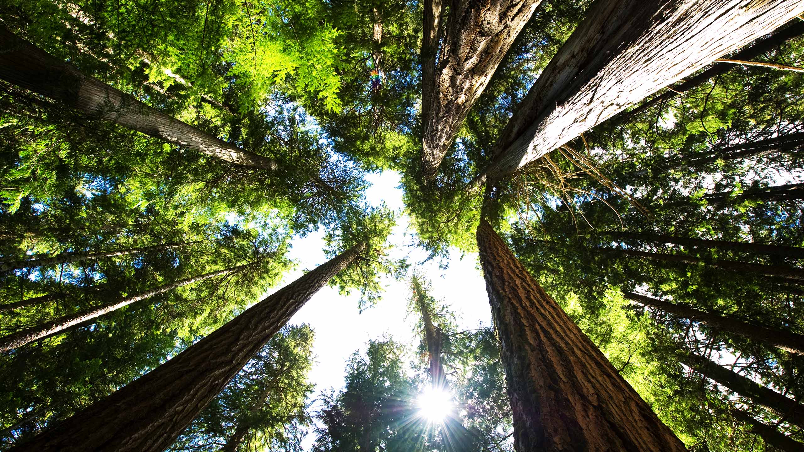 Junior stocks and shares ISA (JISA) | Open a JISA - Nutmeg