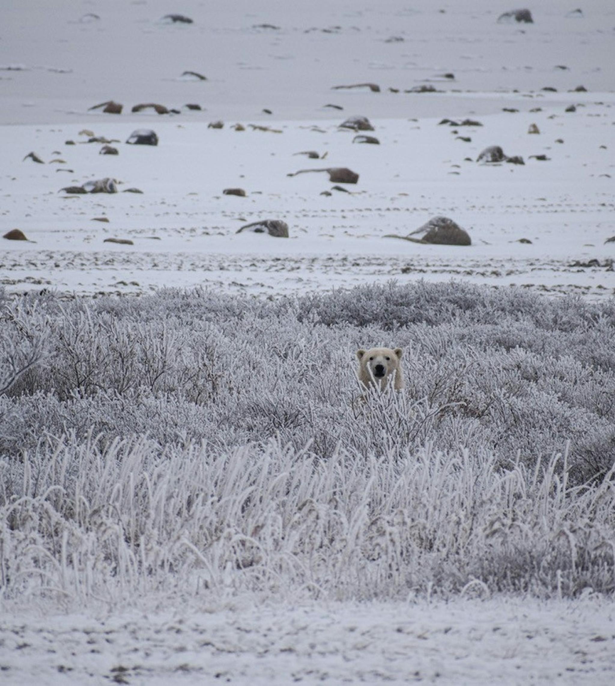 FMB First Nations Economic Forum Conference - NVision Insight Group Inc.