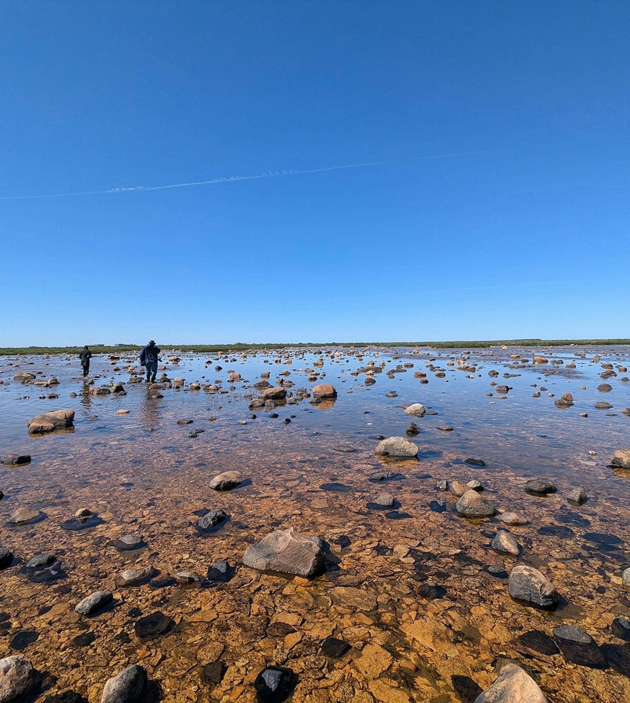 Kahnawake Community Wellness Plan - NVision Insight Group Inc.