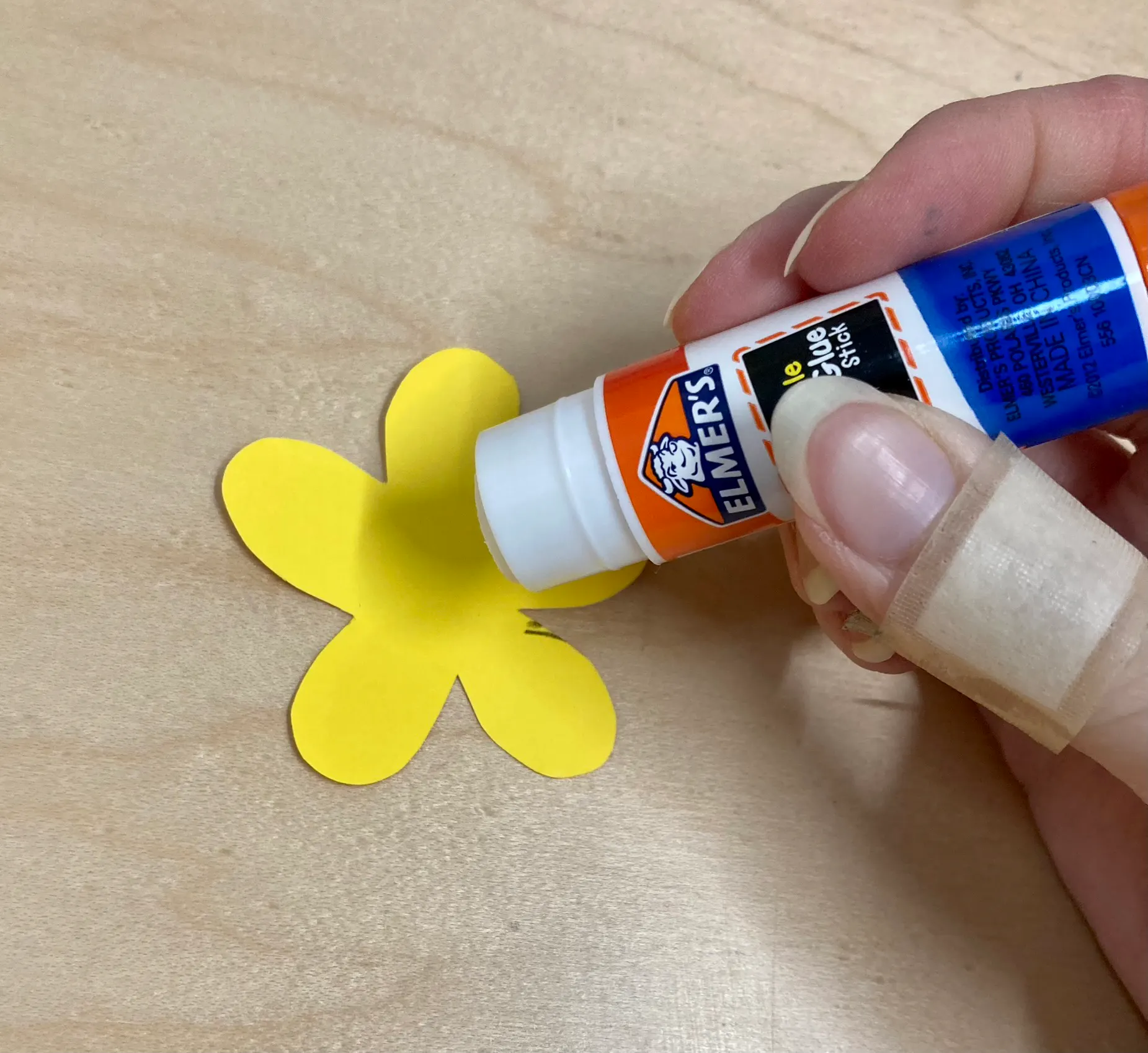 Little New-Yorkers @ Home: Make a Nature Journal Inspired by Rachel ...