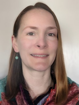 Live From New Amsterdam: The Little Ice Age | The New York Historical