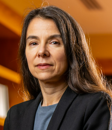 Civil Rights and Freedom of the Press: New York Times Co. v. Sullivan ...