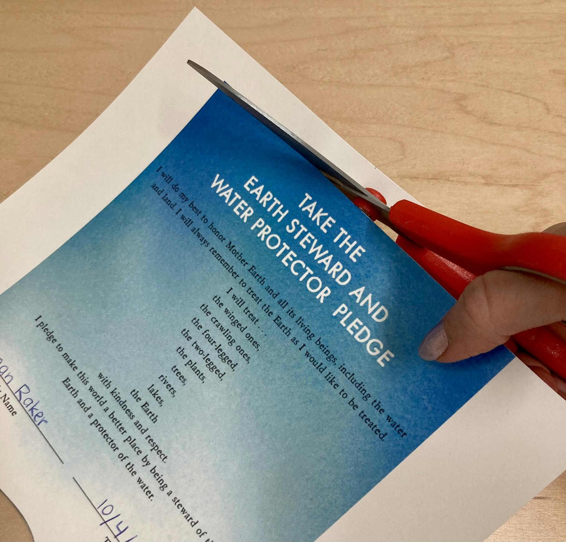 Little New-Yorkers @ Home: Become a Water Protector! | The New York ...