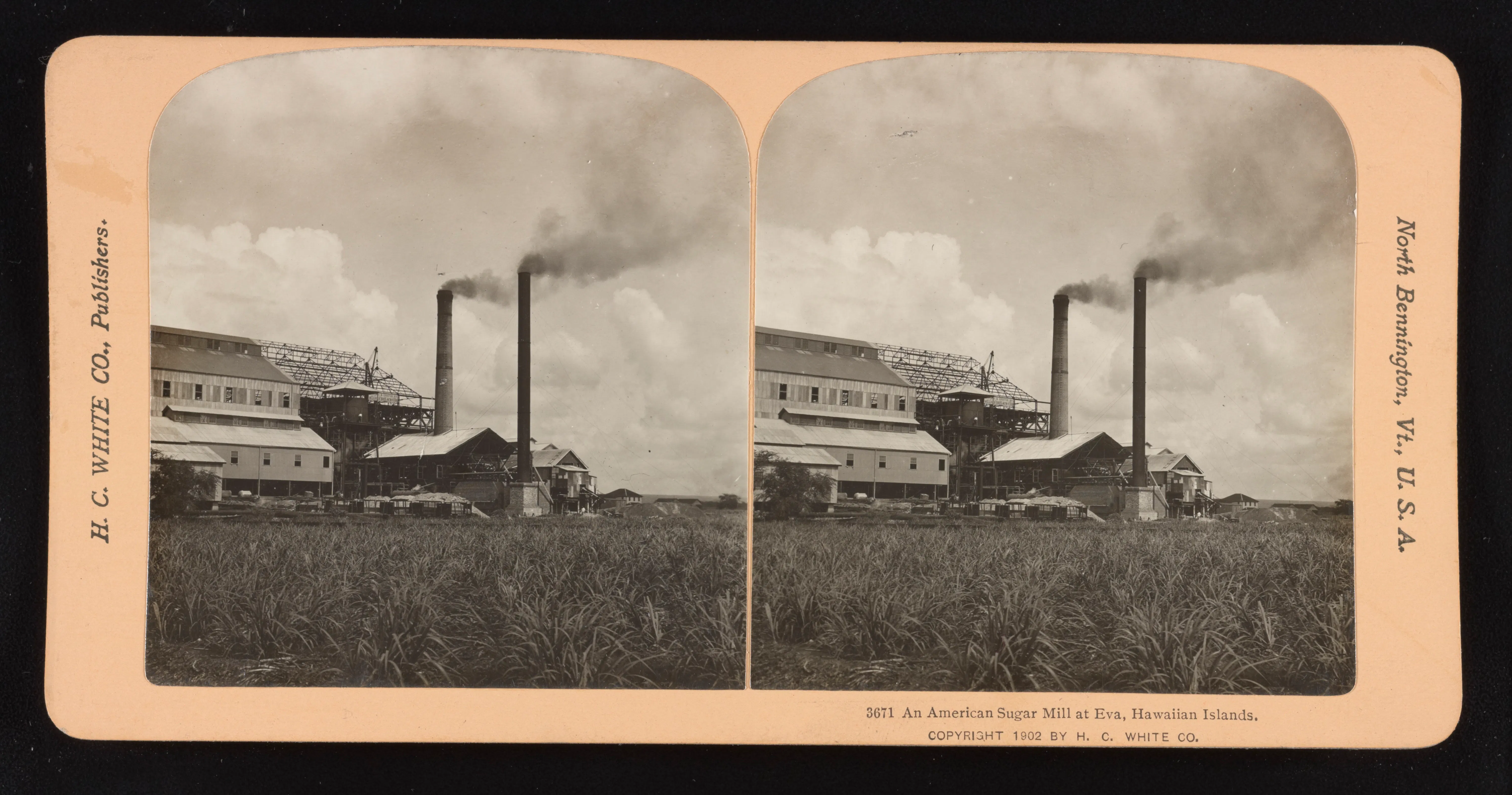 Bittersweet: "Picture Brides" on the Hawaiian Sugarcane Plantations ...