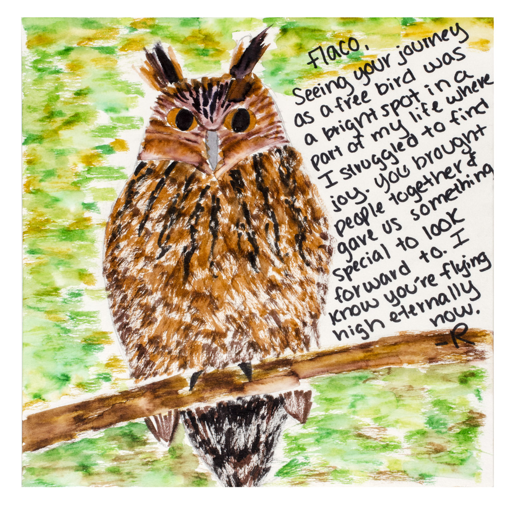 Flaco the Owl Commemorated at The New York Historical | The New York ...