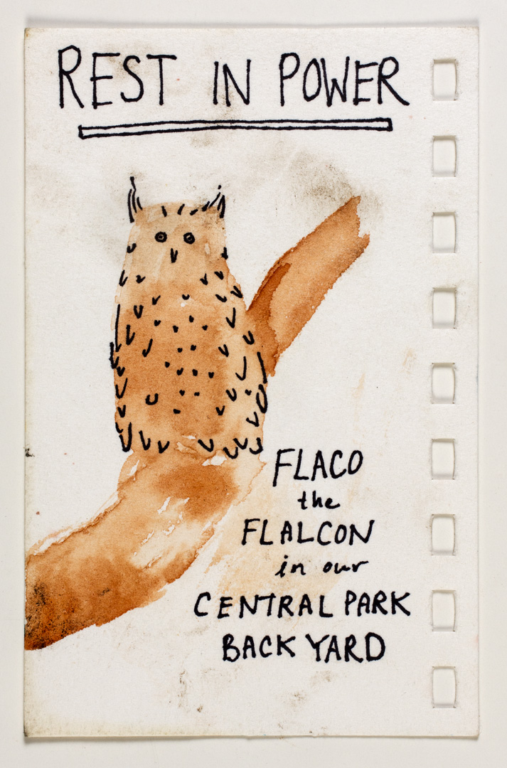 Flaco the Owl Commemorated at The New York Historical | The New York ...