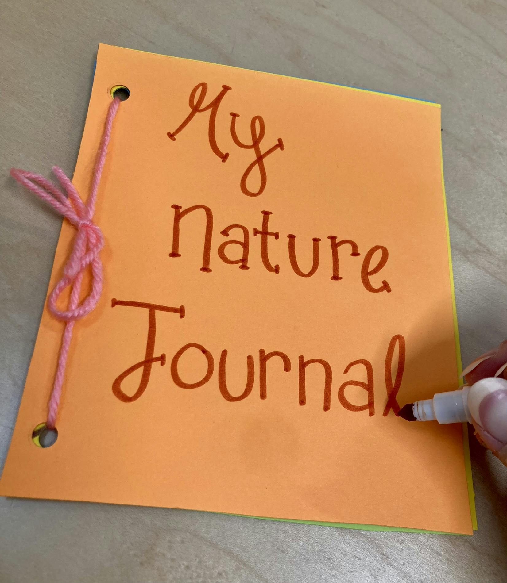 Little New-Yorkers @ Home: Make a Nature Journal Inspired by Rachel ...
