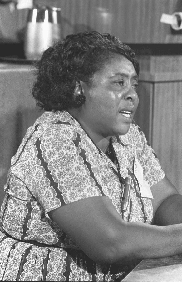 Atlantic City, 1964: The Mississippi Freedom Democratic Party and the ...