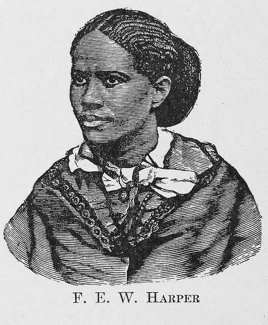 A Modern Guide to 19th Century Feminism: A Study of Black Suffrage ...