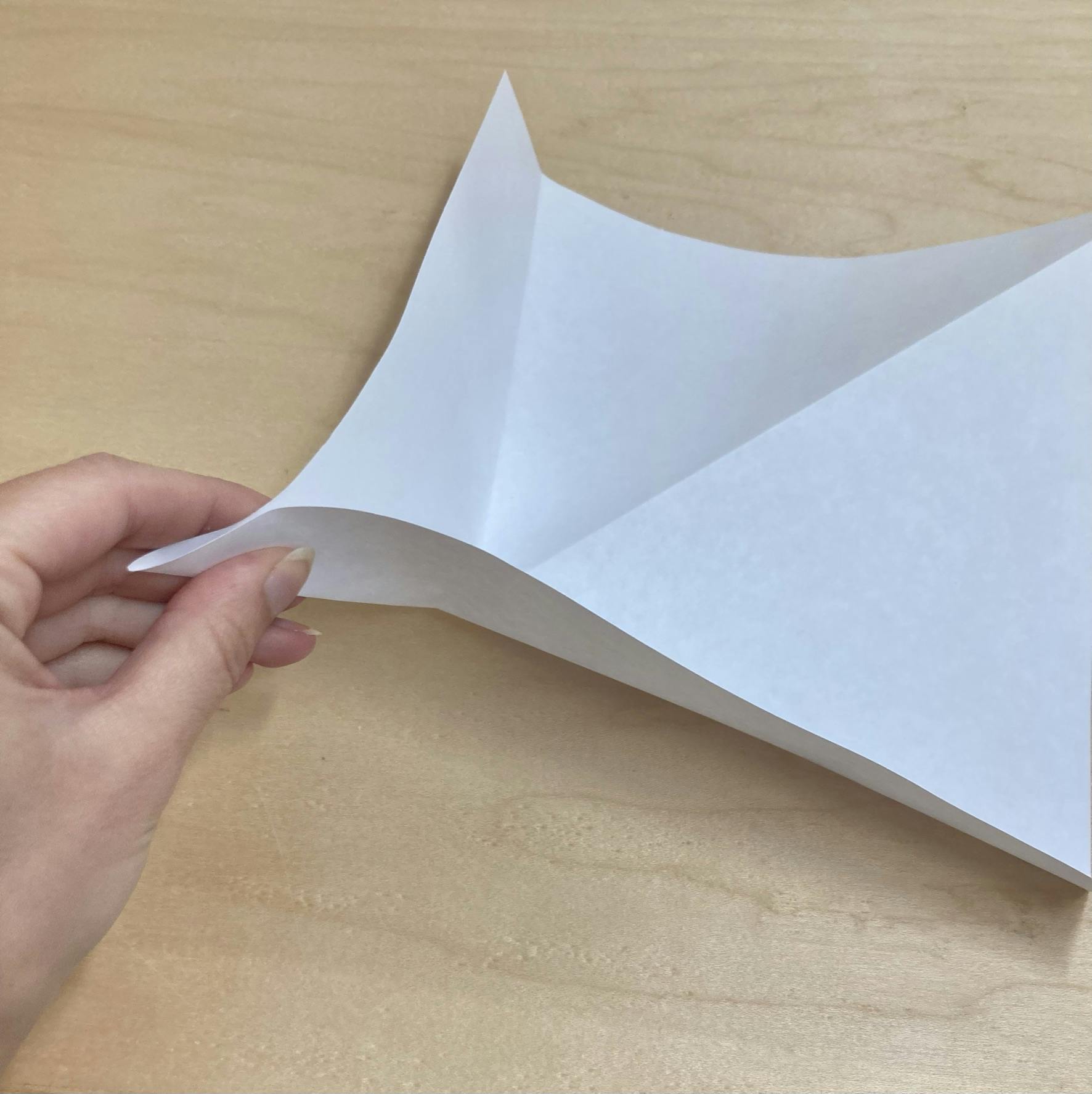 Little New-Yorkers @ Home: Sail with the Old Pirate of Central Park ...