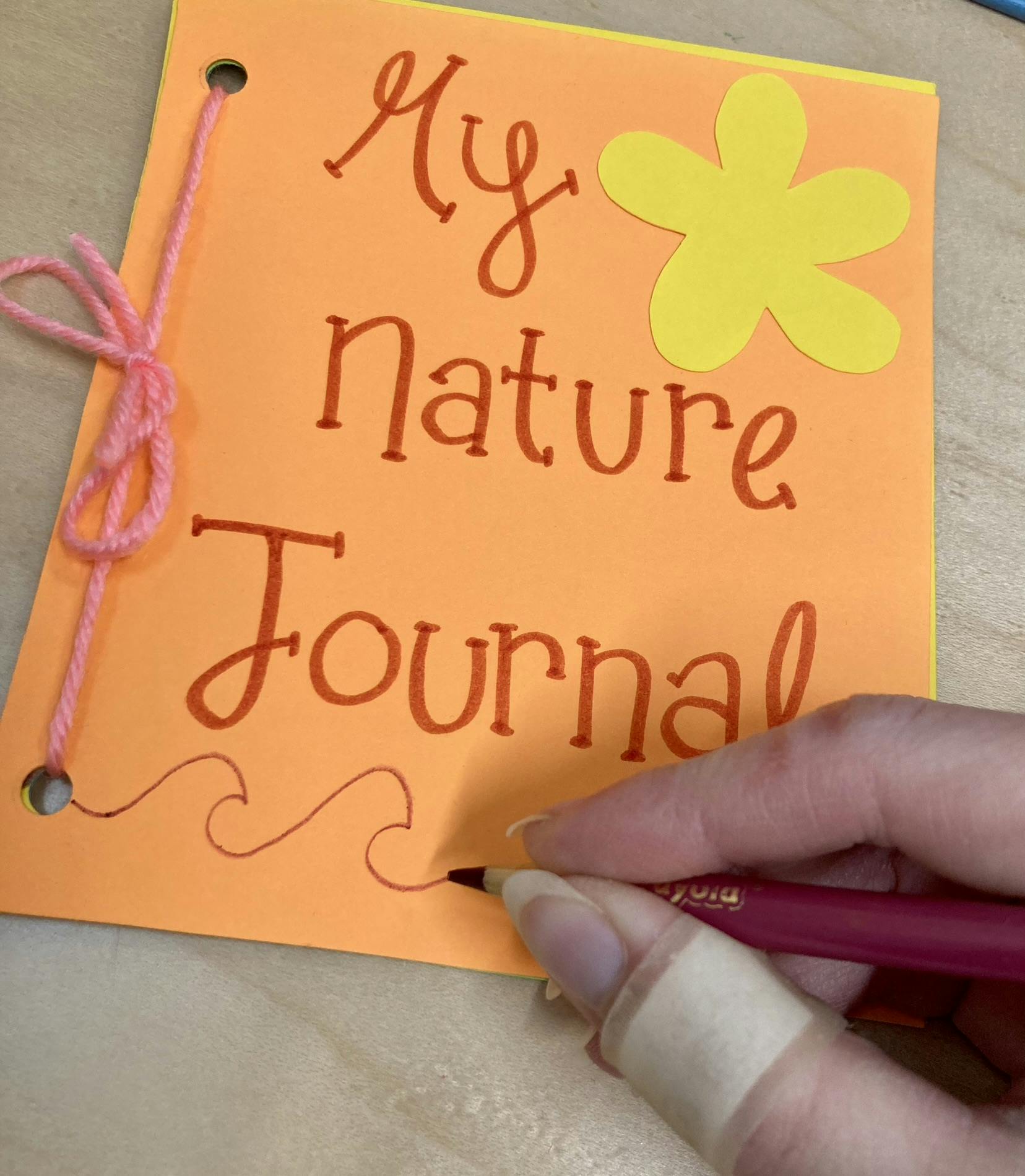 Little New-Yorkers @ Home: Make a Nature Journal Inspired by Rachel ...