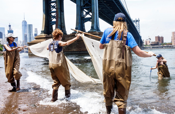 Hudson Rising | The New York Historical