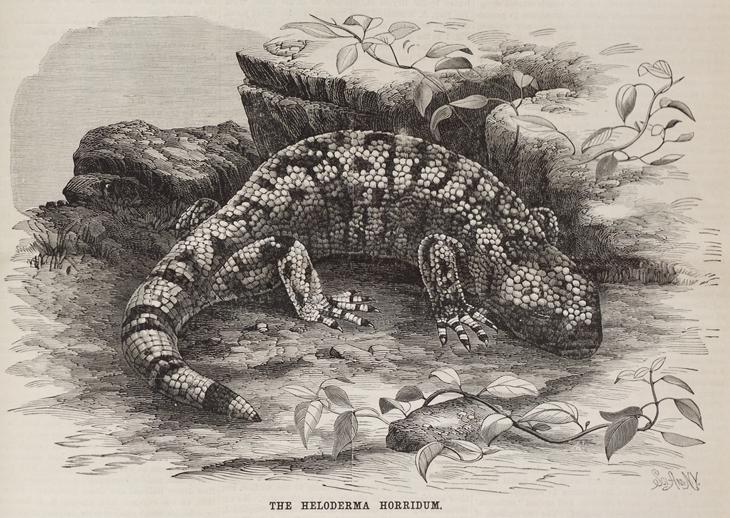 The New York Historical