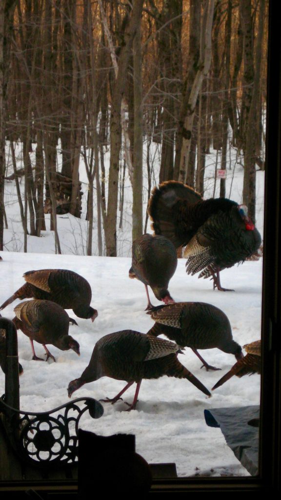 The New York Historical