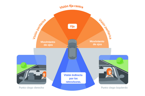 Todo sobre la disminución del campo de visión al conducir
