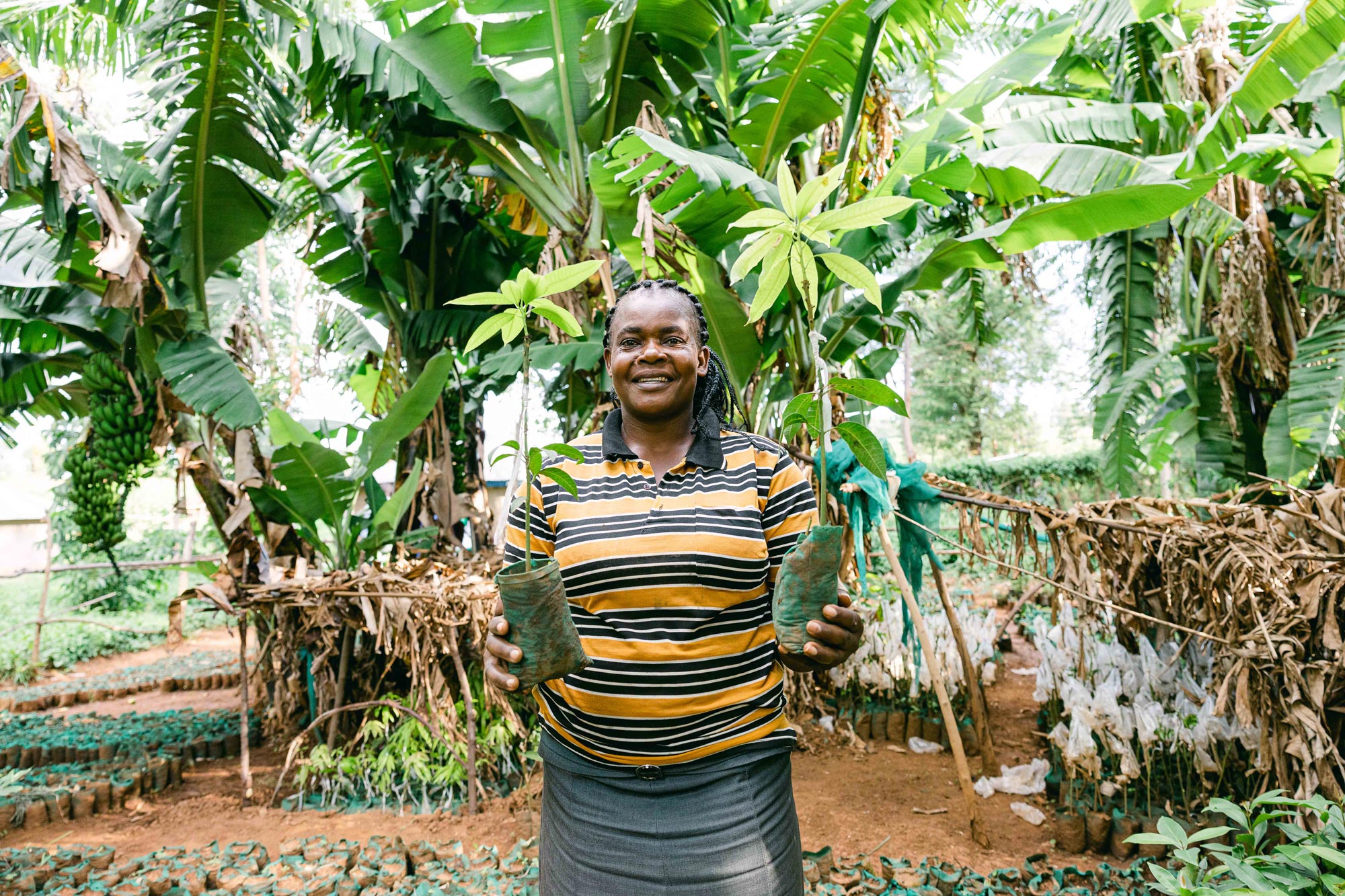 Trees For The Future | Oboz Footwear - Oboz Footwear