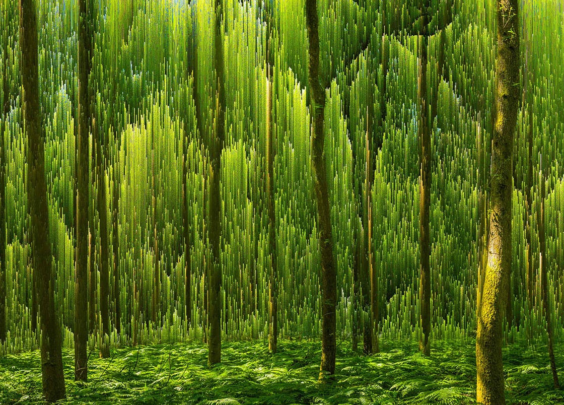 Ideas | Obvious Ventures